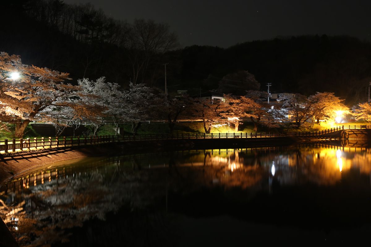 桜咲く沼(*^^*) | GANREF