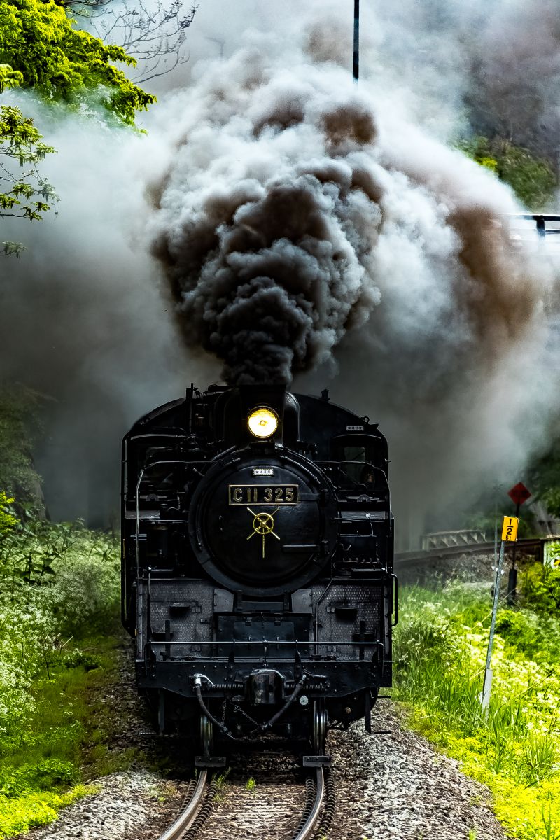只見線を走るC11 | GANREF
