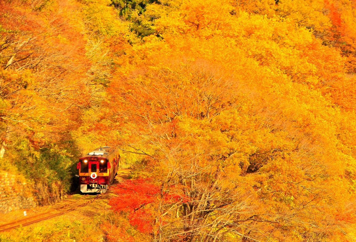 Yellow Train | GANREF