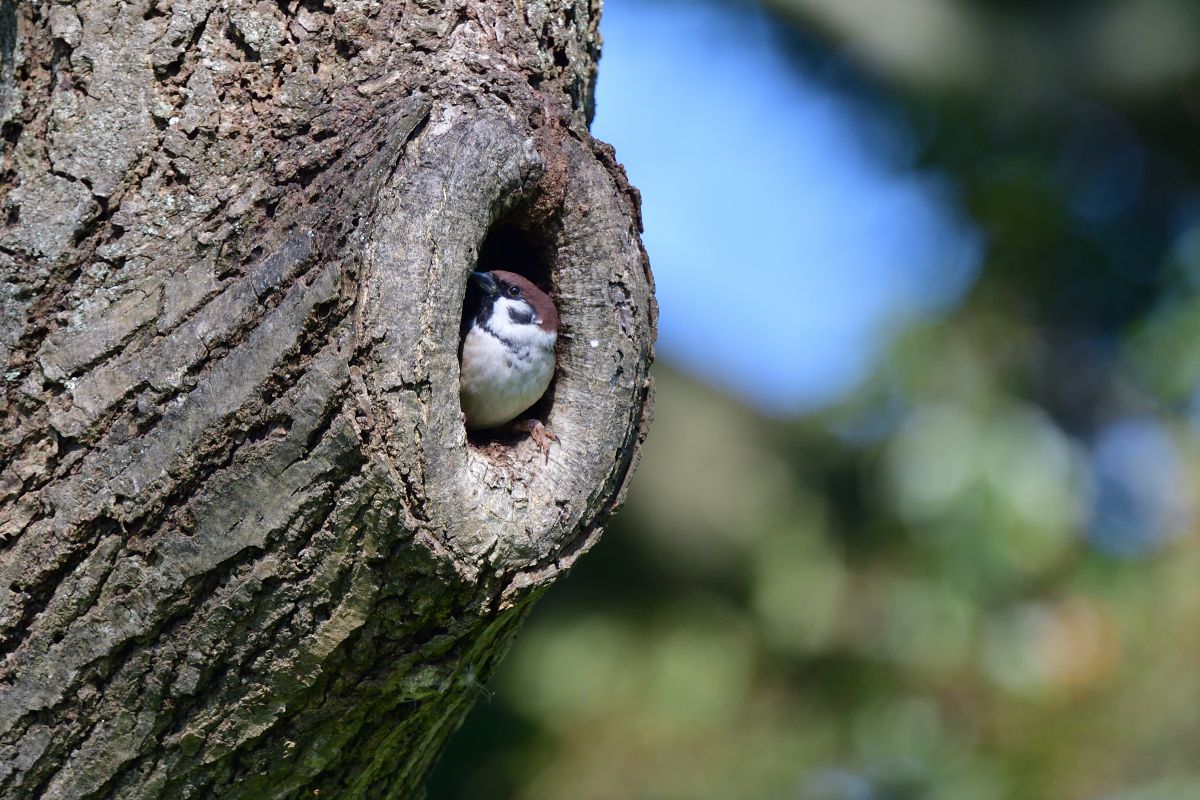 Welcome to my house | GANREF