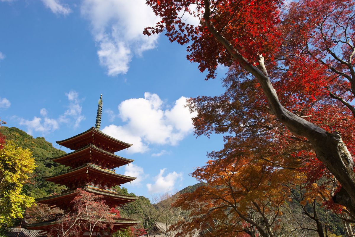 二番目に小さい | GANREF