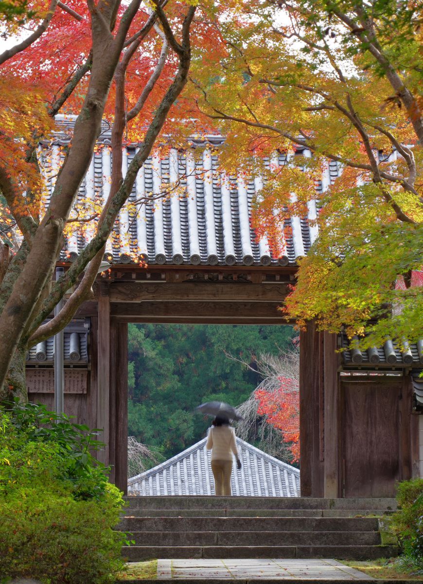 山門の秋 | GANREF