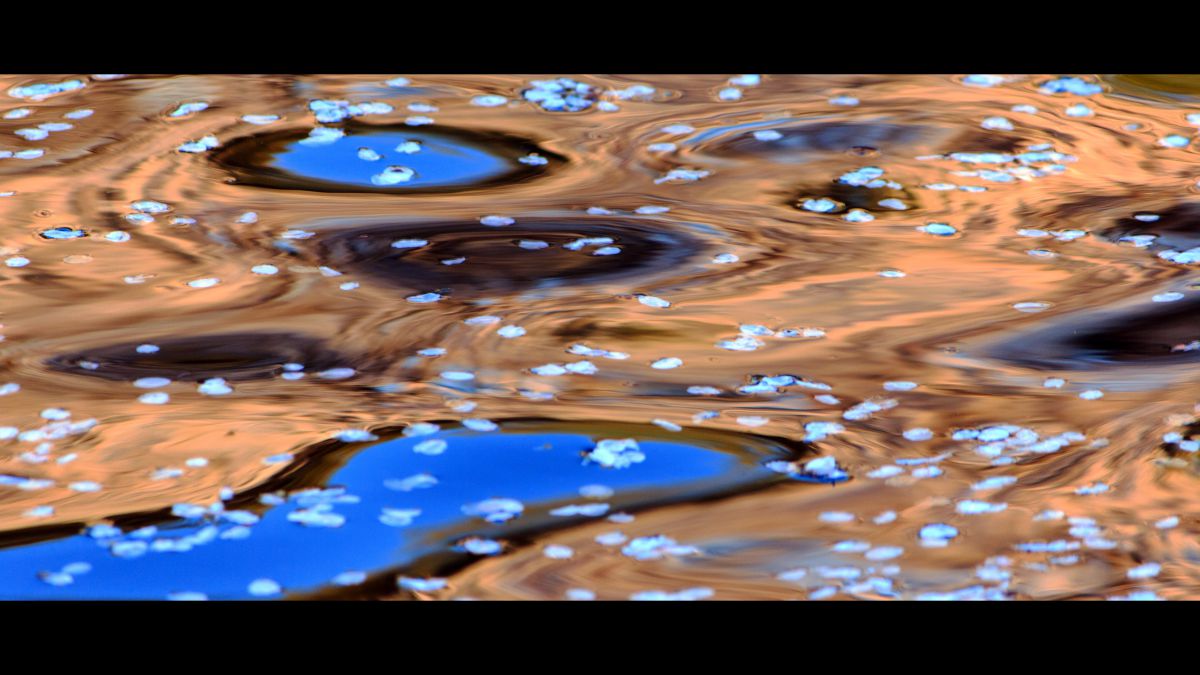 surface waves | GANREF