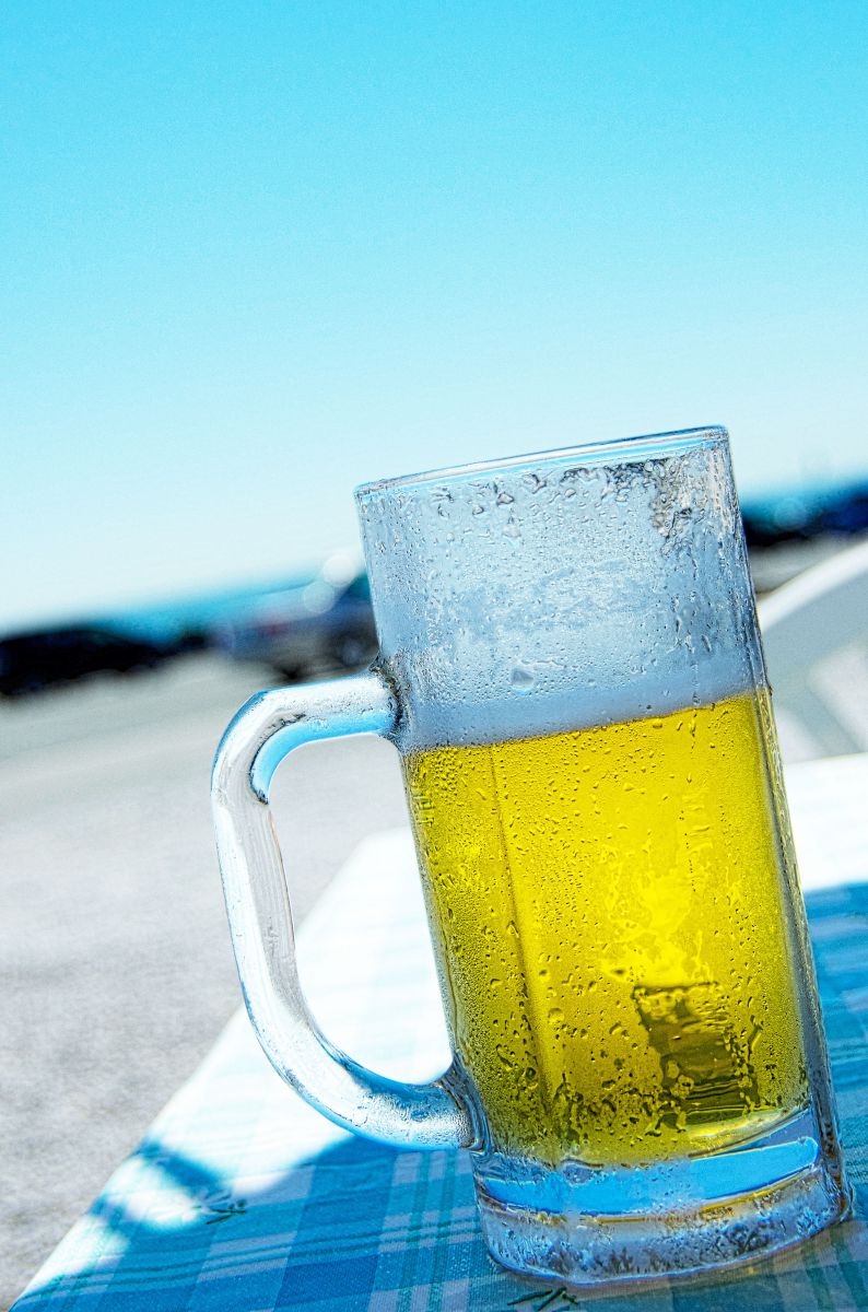 ENDLESS SUMMER | GANREF