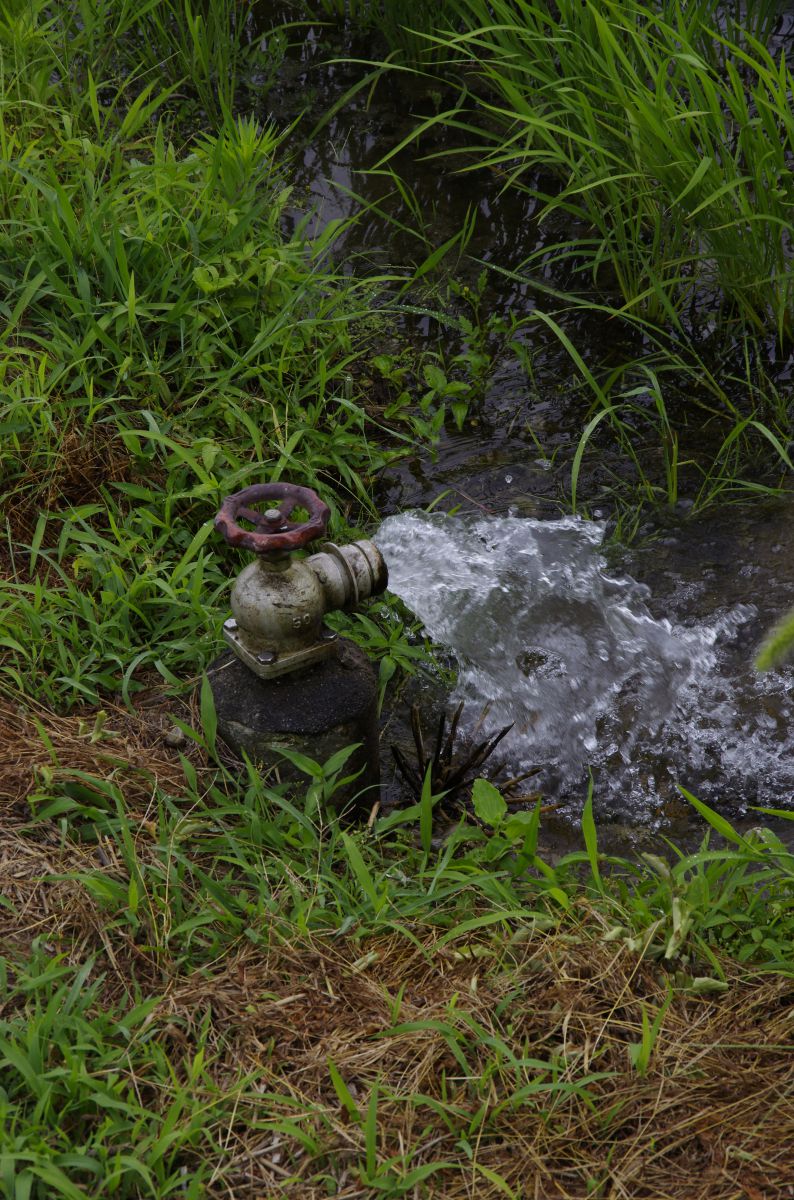 First impression | GANREF