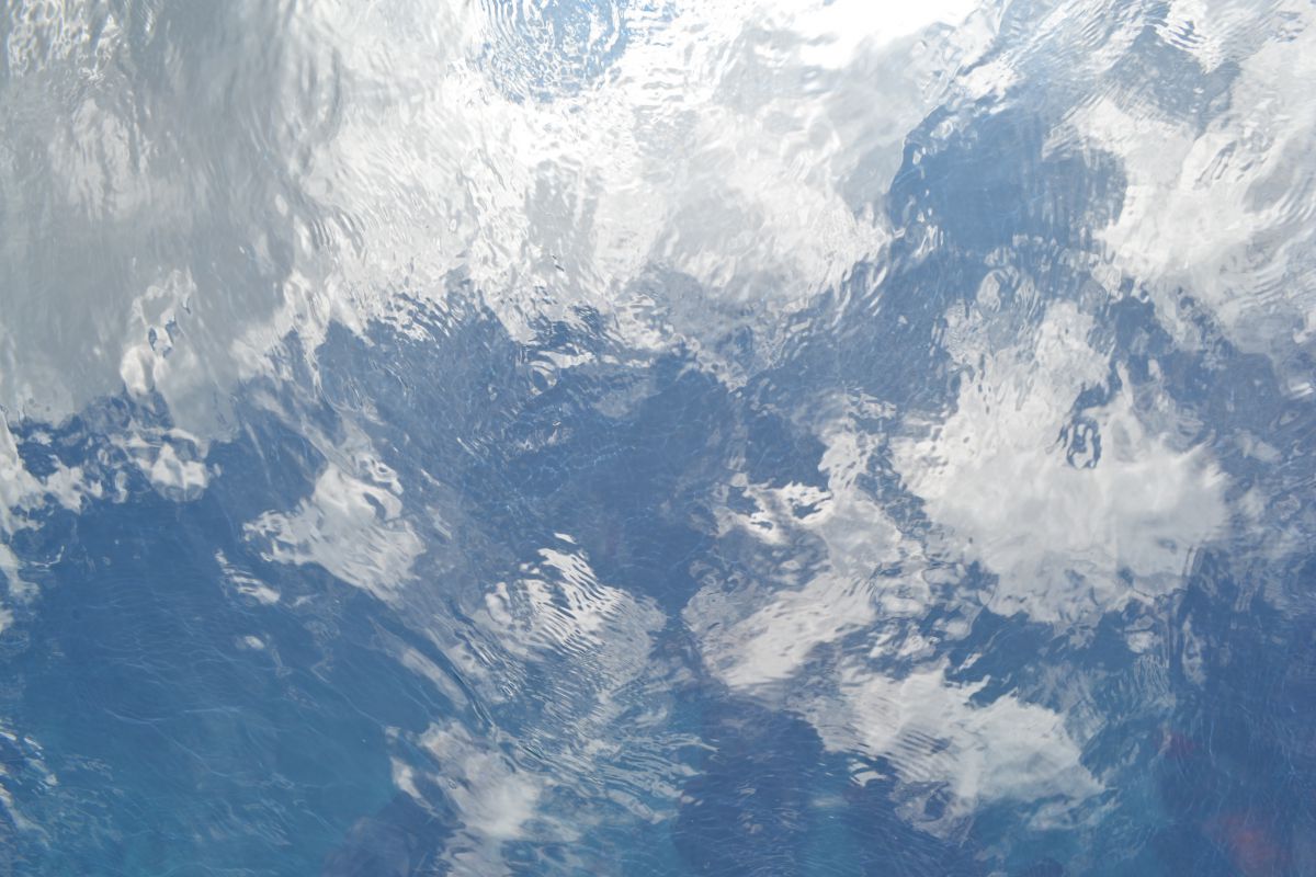 Falling Deeper | GANREF