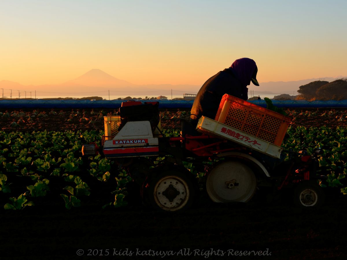 「春に願いを込めて」 | GANREF