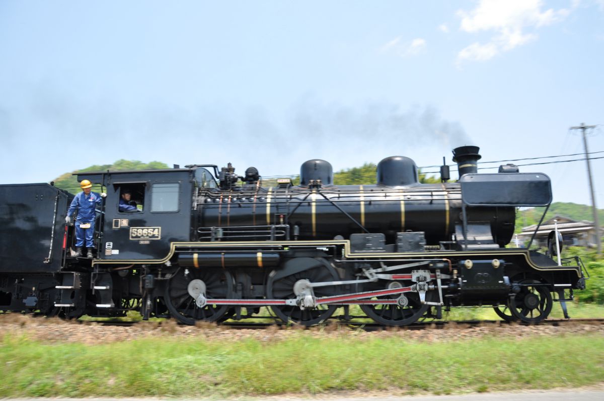 DSC_3953.JPG | GANREF