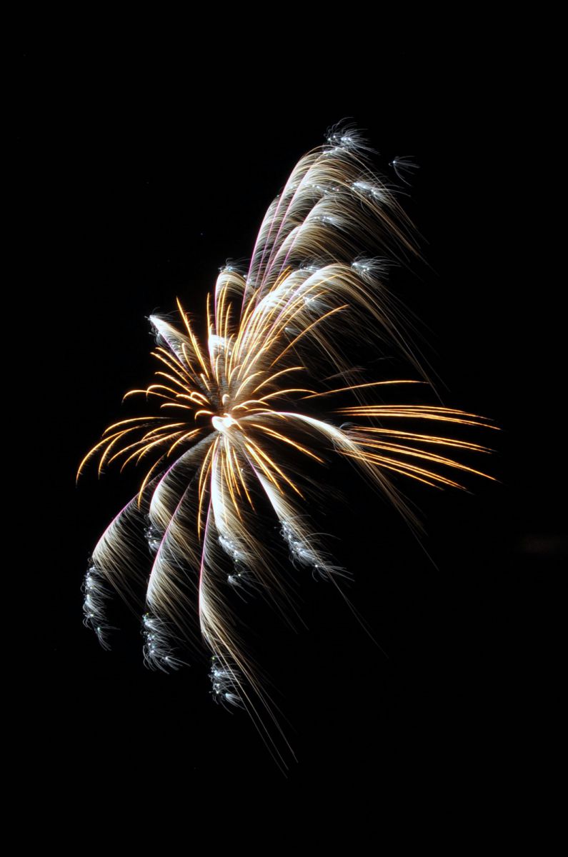 Phoenix ？ | GANREF