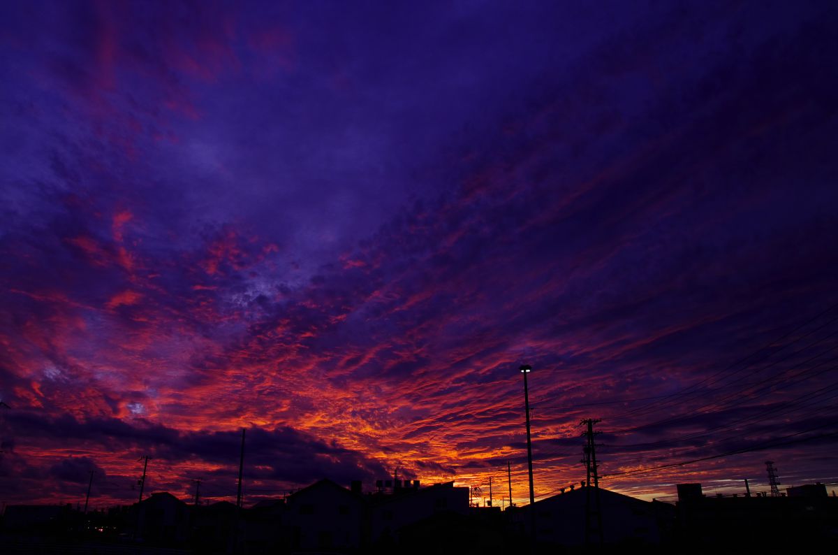 Deep purple | GANREF