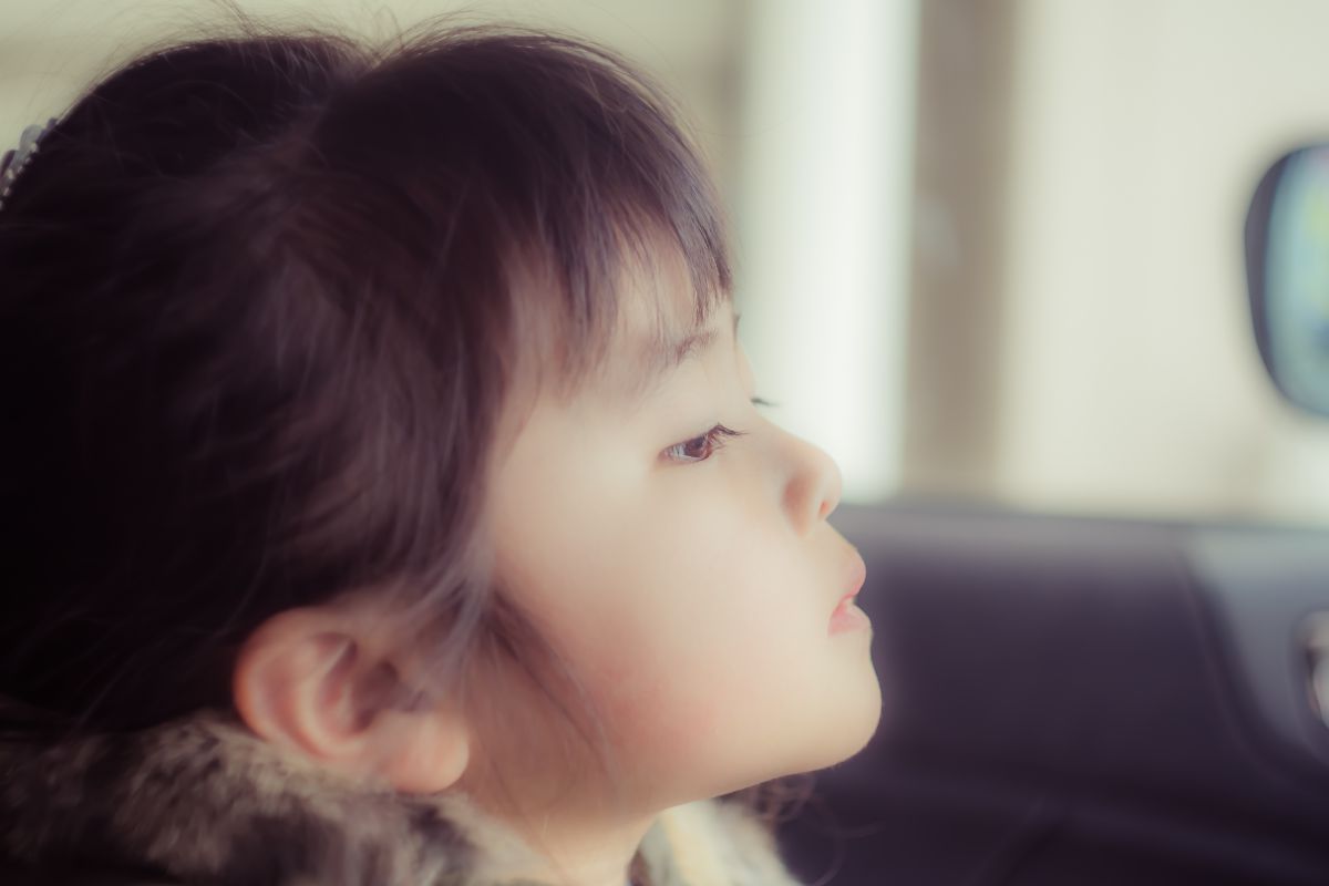 助手席ガール | GANREF