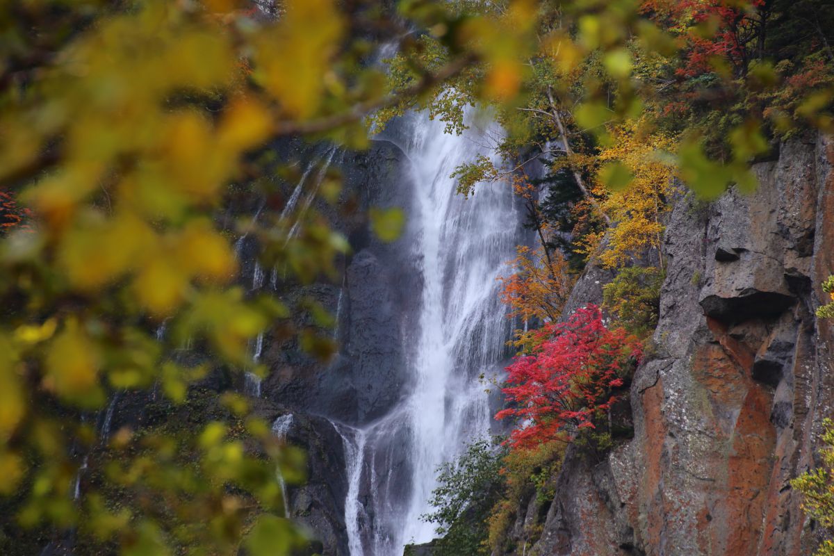 秋を覗く | GANREF