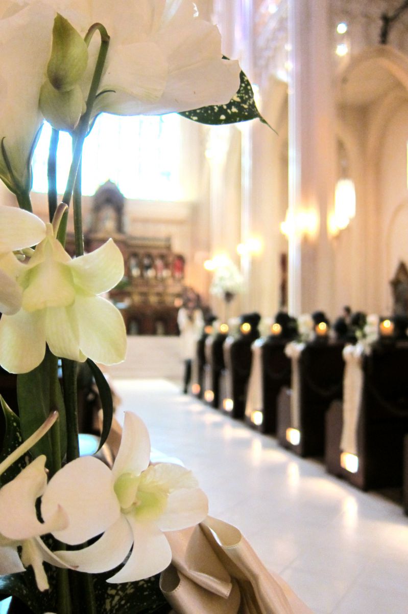 virgin road | GANREF