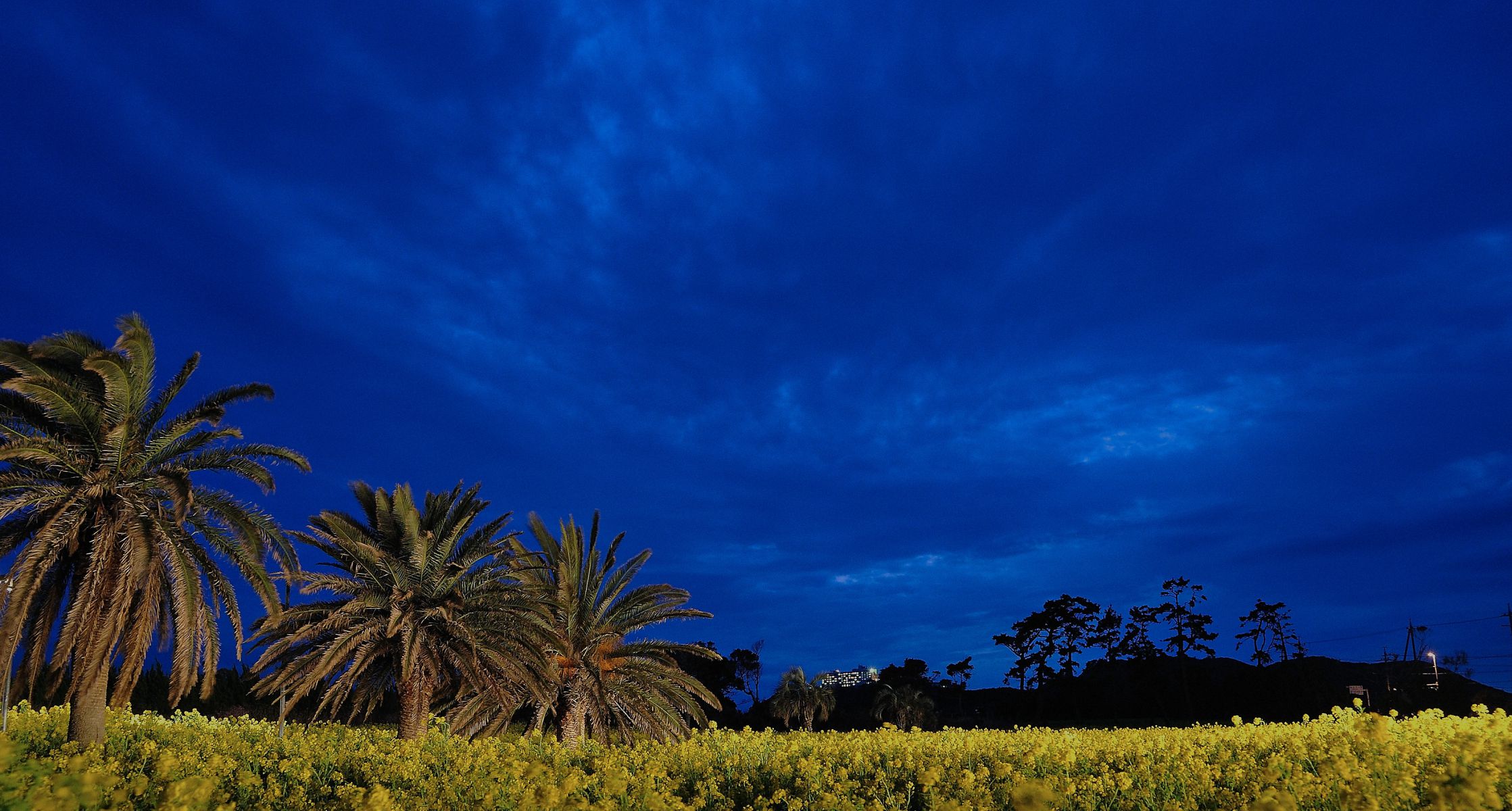 個人的には・・・ | GANREF