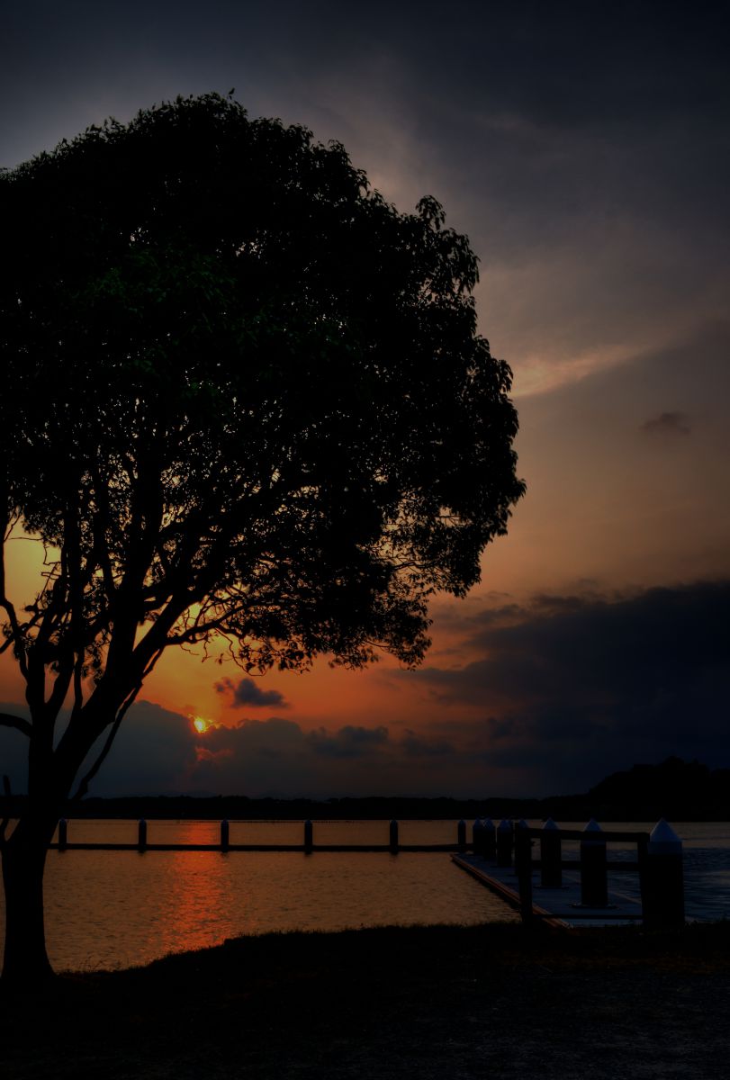 今日の浜夕(11.JUN) | GANREF