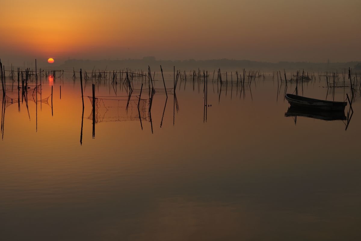 Here come the sun | GANREF