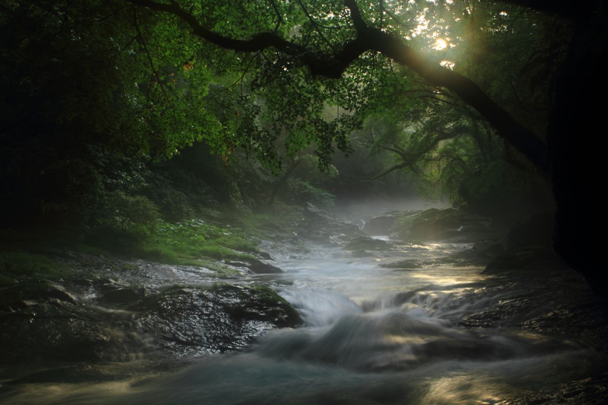 渓谷の朝焼け | GANREF