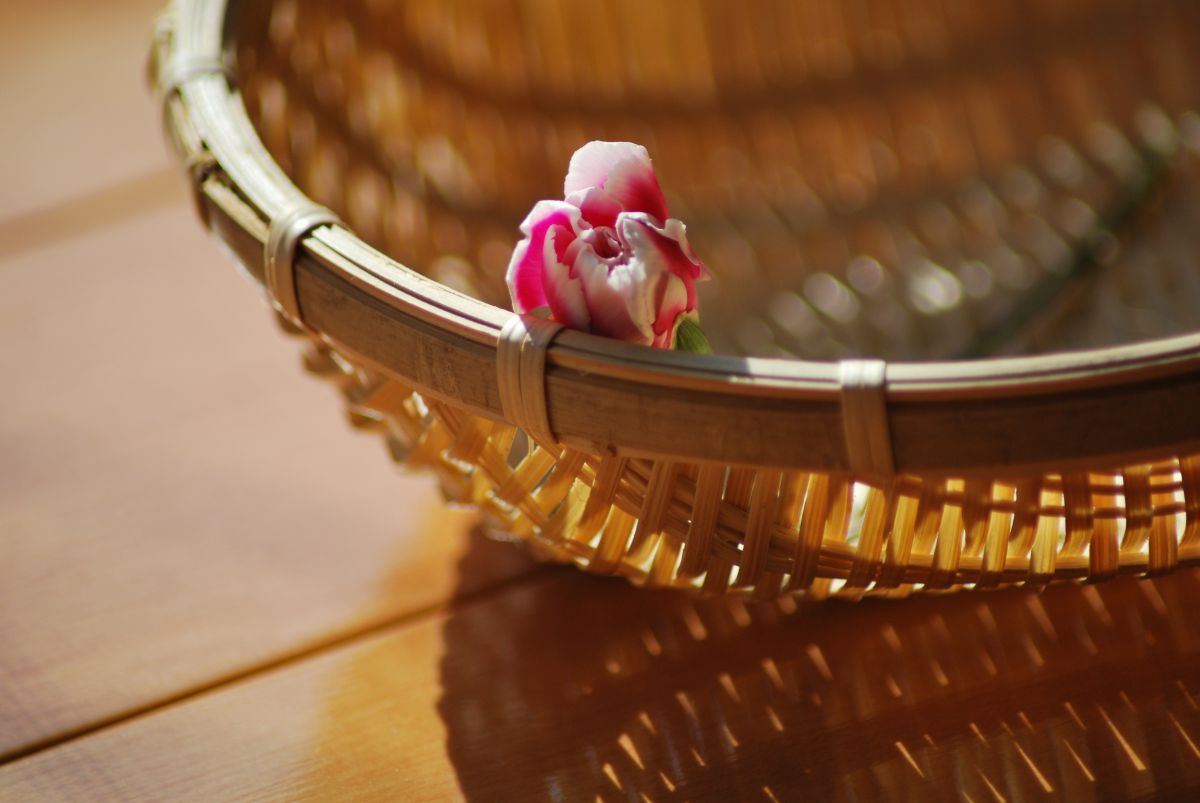 日向ぼっこ | GANREF