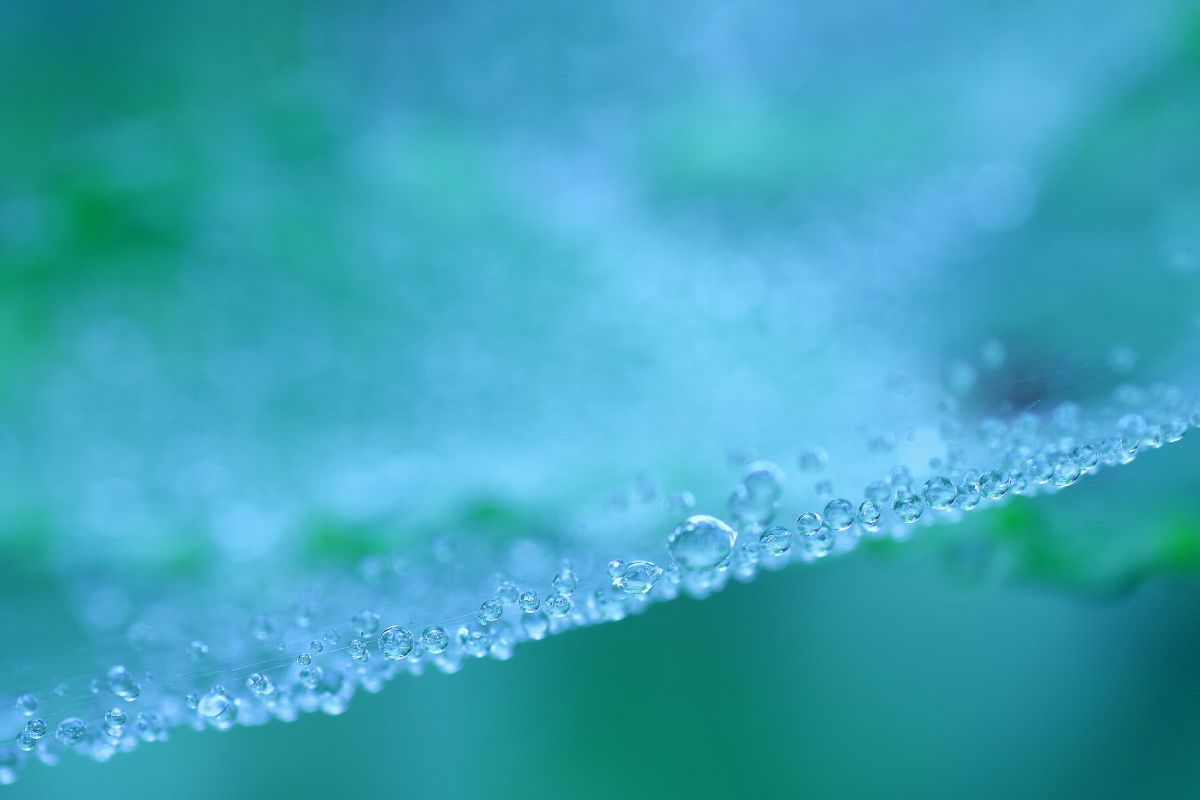 Sunday Morning ,Rain Drops | GANREF