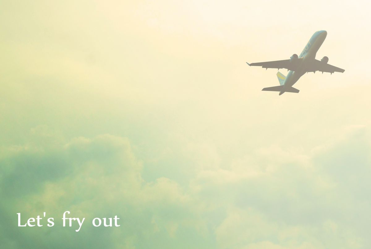 Let's fry out !! | GANREF