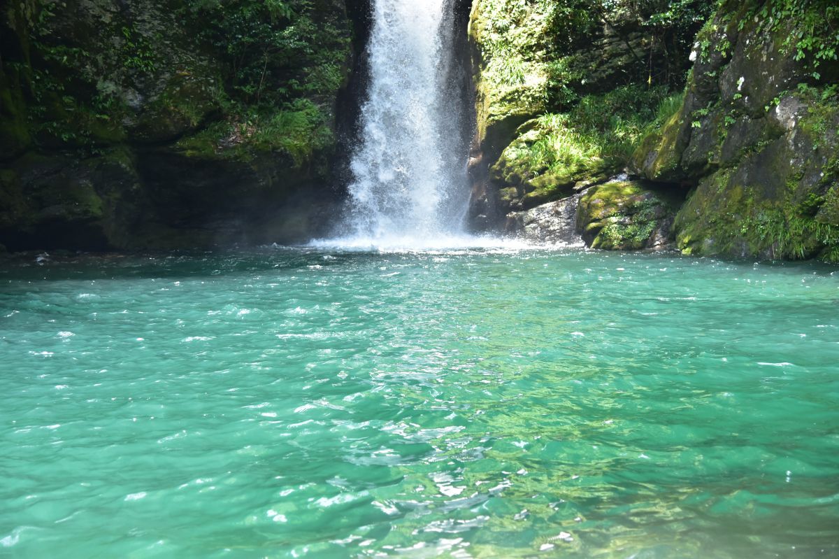 brilliant emerald | GANREF