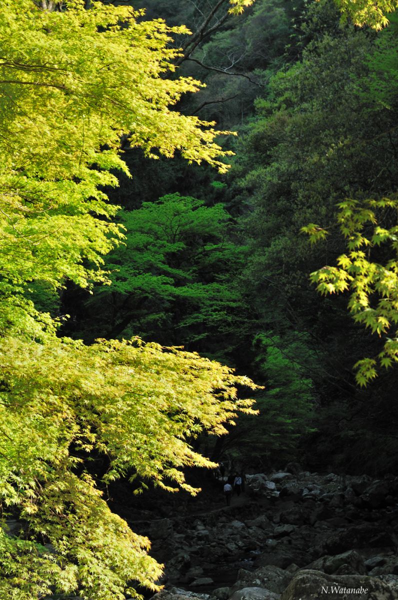 赤目渓谷 | GANREF