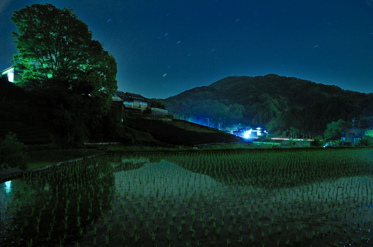 初夏の頃 | GANREF