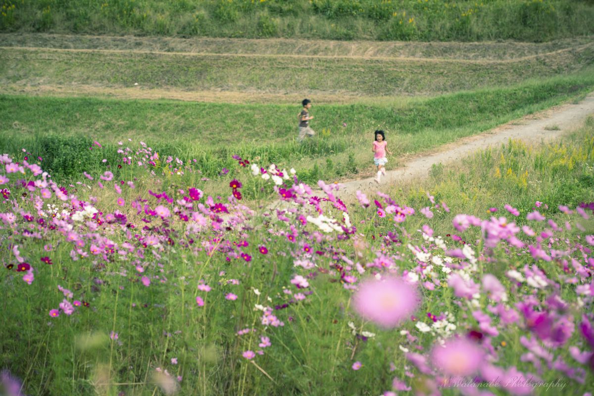 元気よく | GANREF