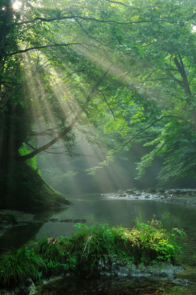 celebration | GANREF