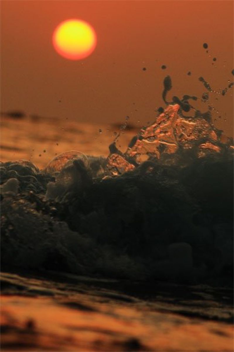 sunset nami | GANREF