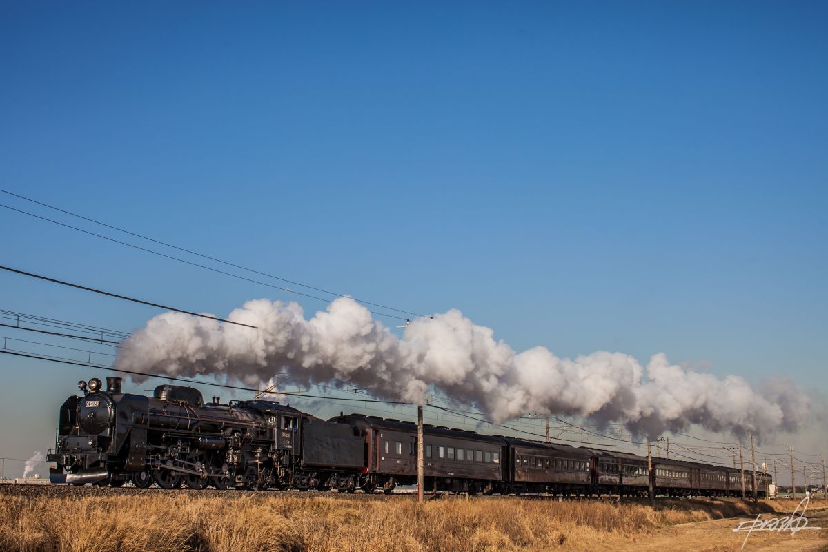 C61蒸気機関車通過 | GANREF