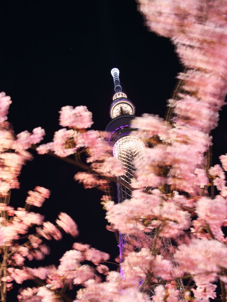 Blowing Night | GANREF