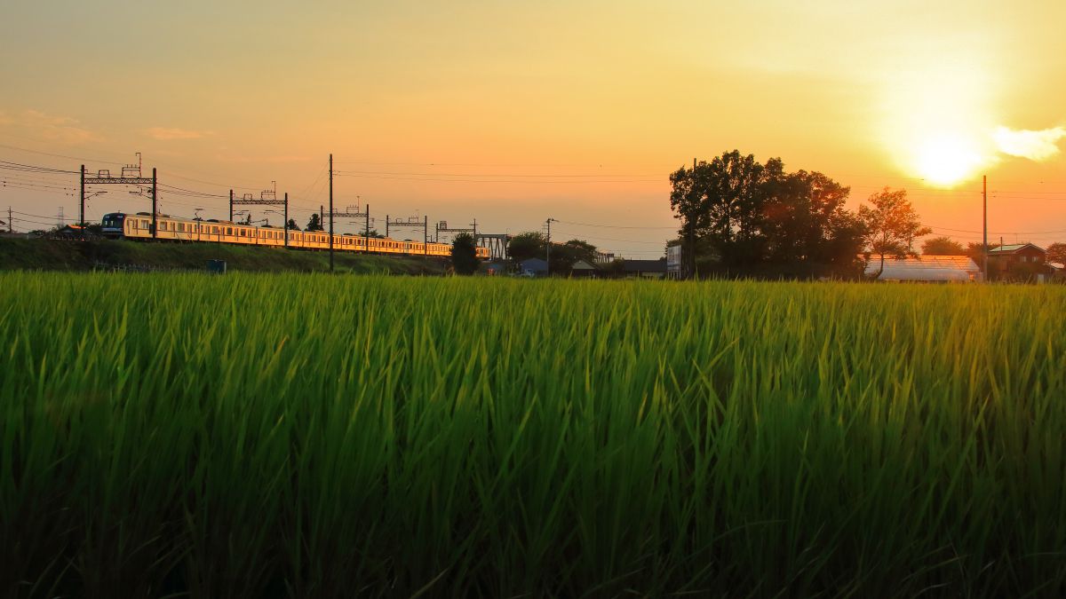 SUNSET TRAIN | GANREF