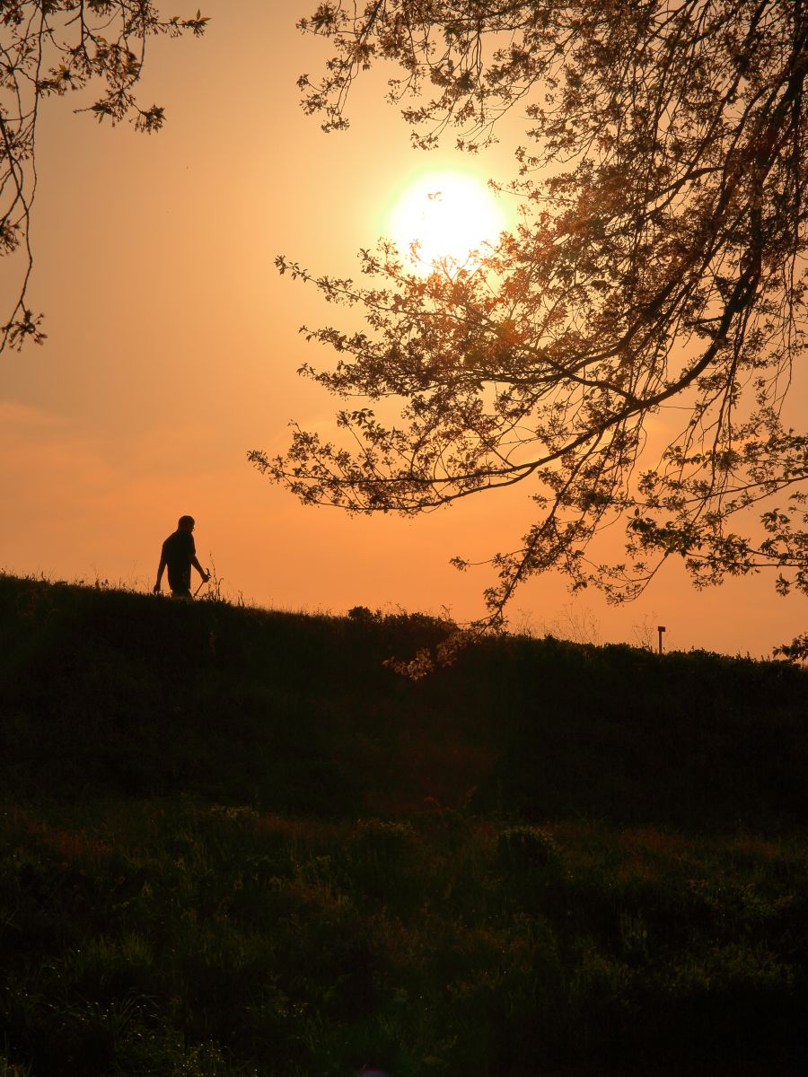 Walking MAN. | GANREF