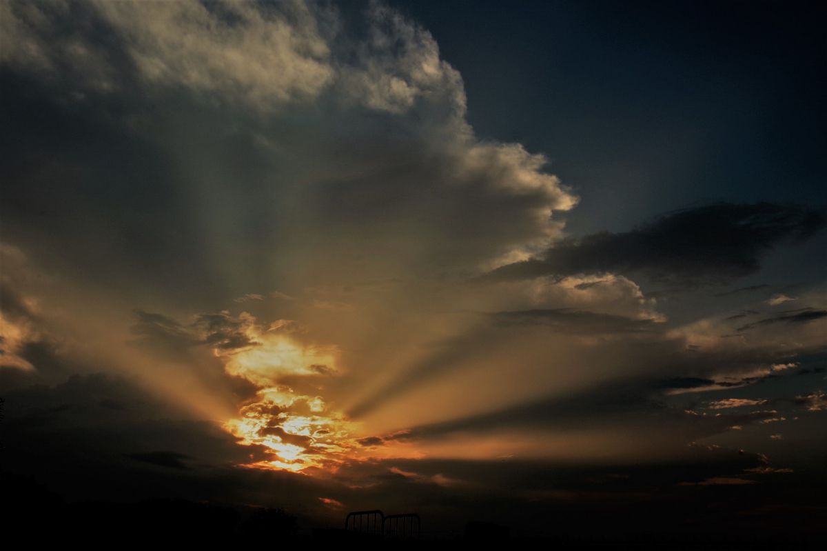 ついさっきw | GANREF