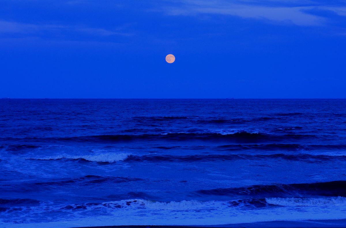 MOON LIGHT BLUES | GANREF