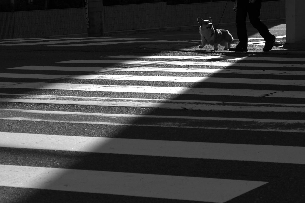 Crosswalk | GANREF