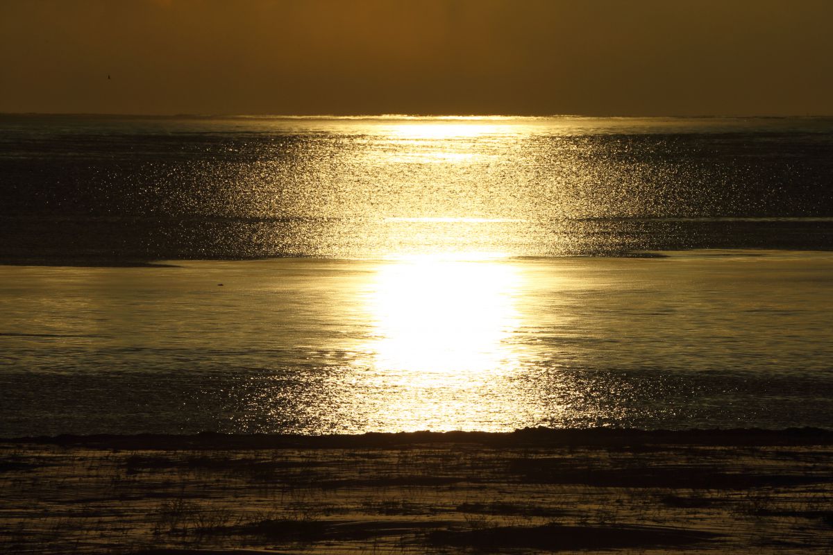 燦めき ～朝日～ （道東ツアー#046） | GANREF