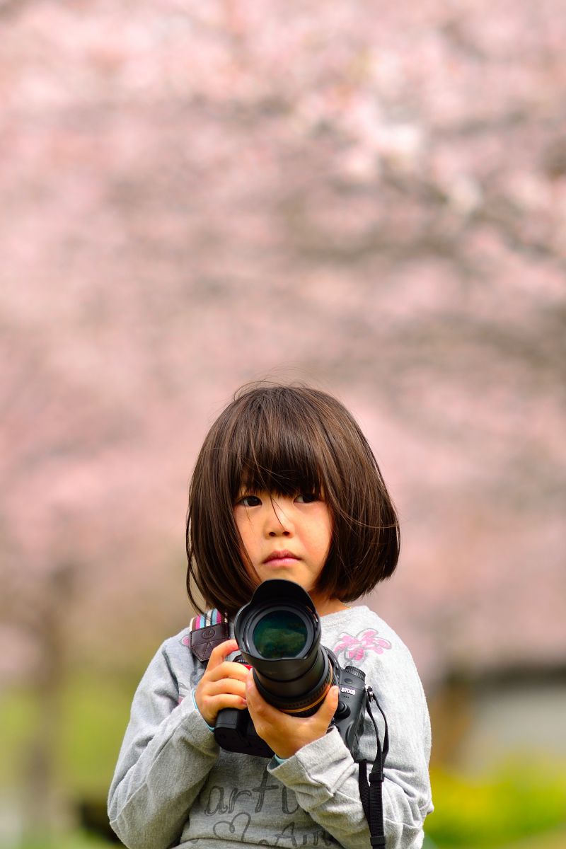 記憶の春 | GANREF