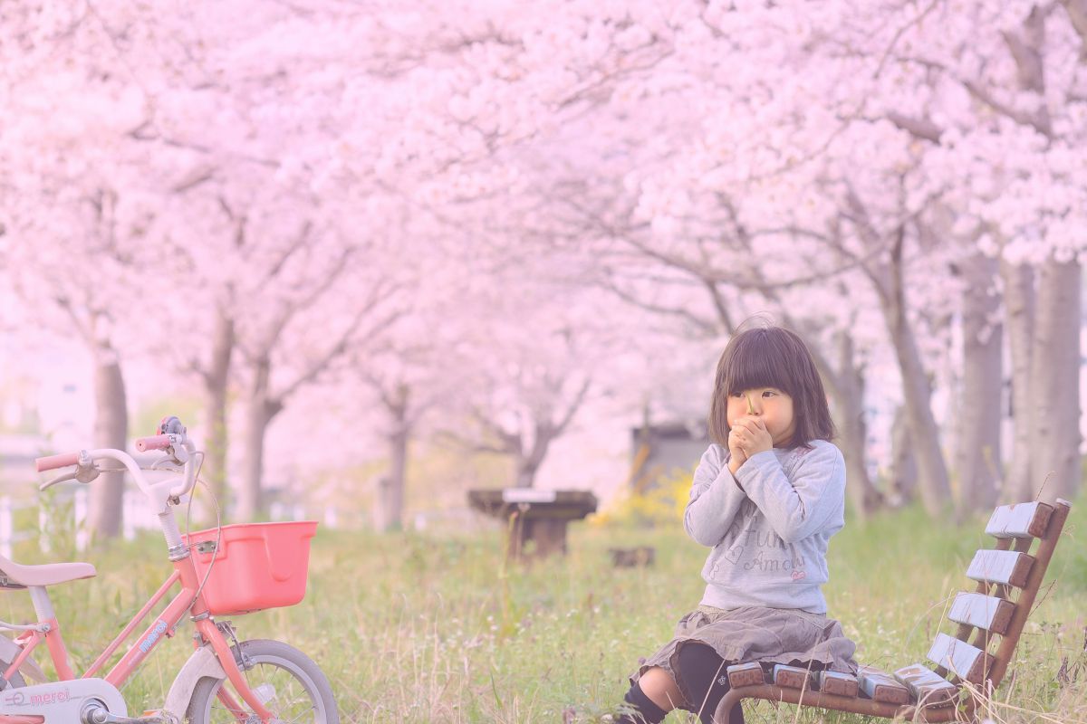 春は幻想的に | GANREF