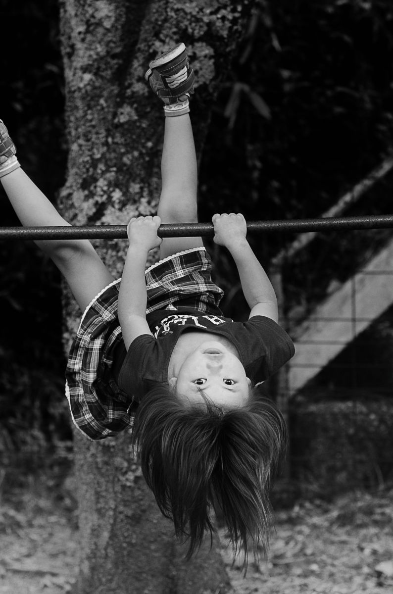 Stop Motion | GANREF