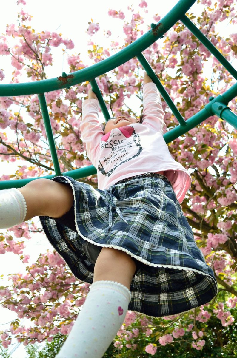 ハルウララ | GANREF