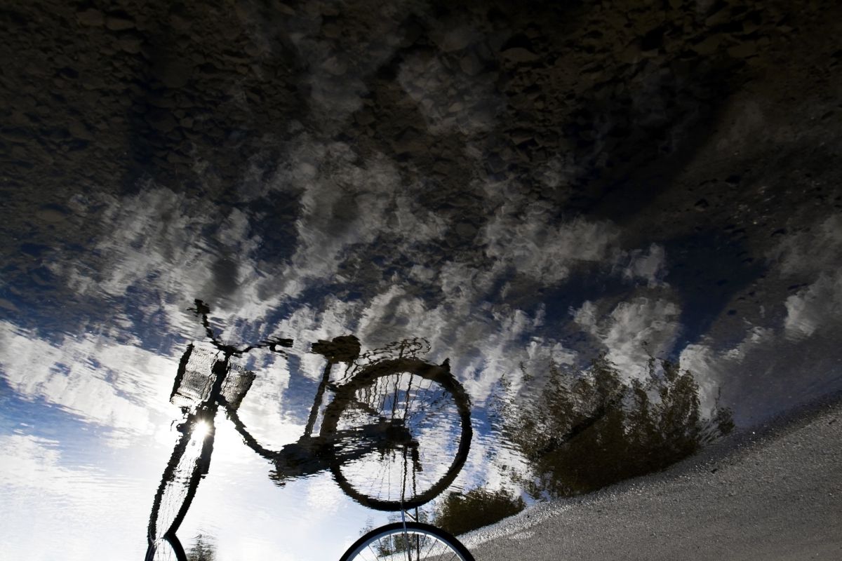 The reflected bicycle | GANREF