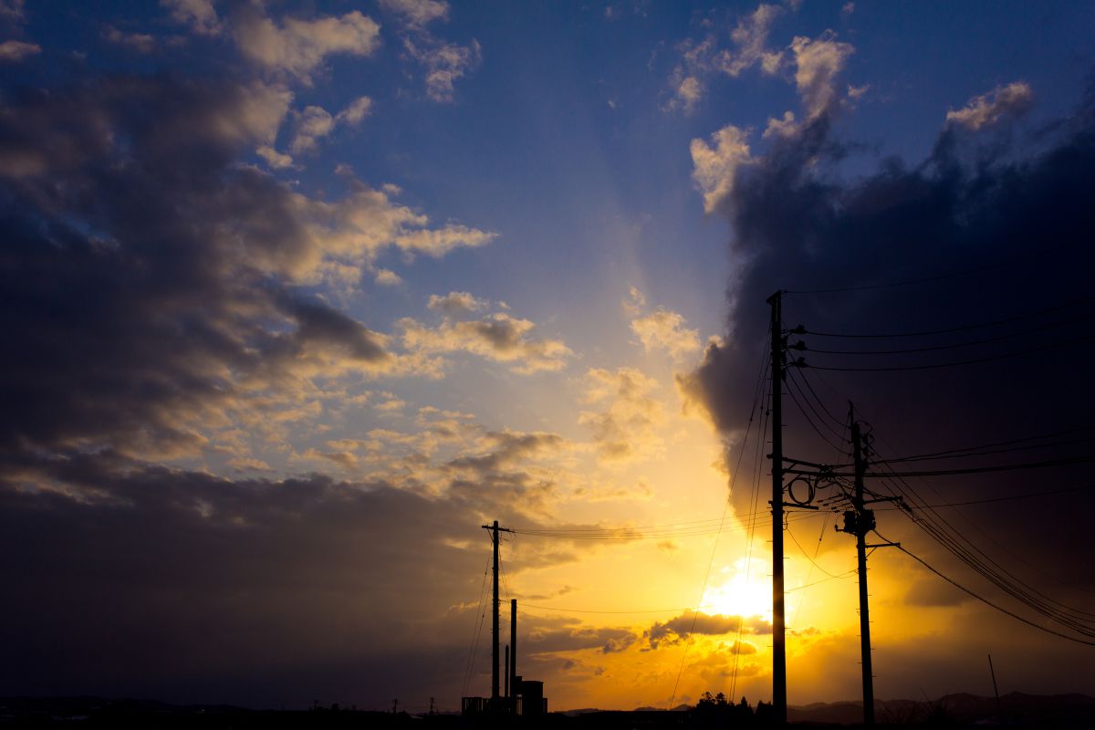 They stood still. | GANREF