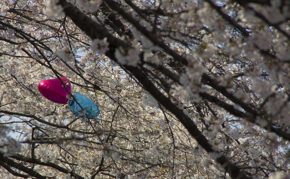 愛してるぜ☆ | GANREF