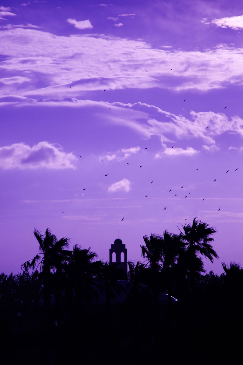 South Wind (Blue) | GANREF