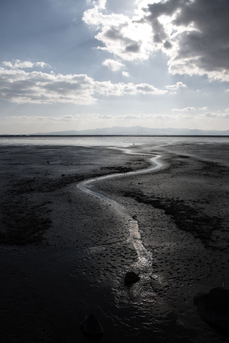 Natural Monotone | GANREF