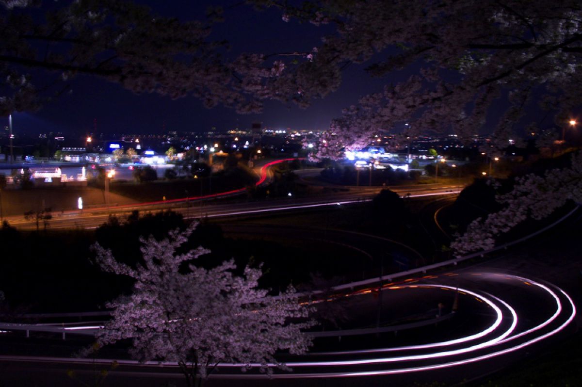 asオアシス 005.jpg | GANREF