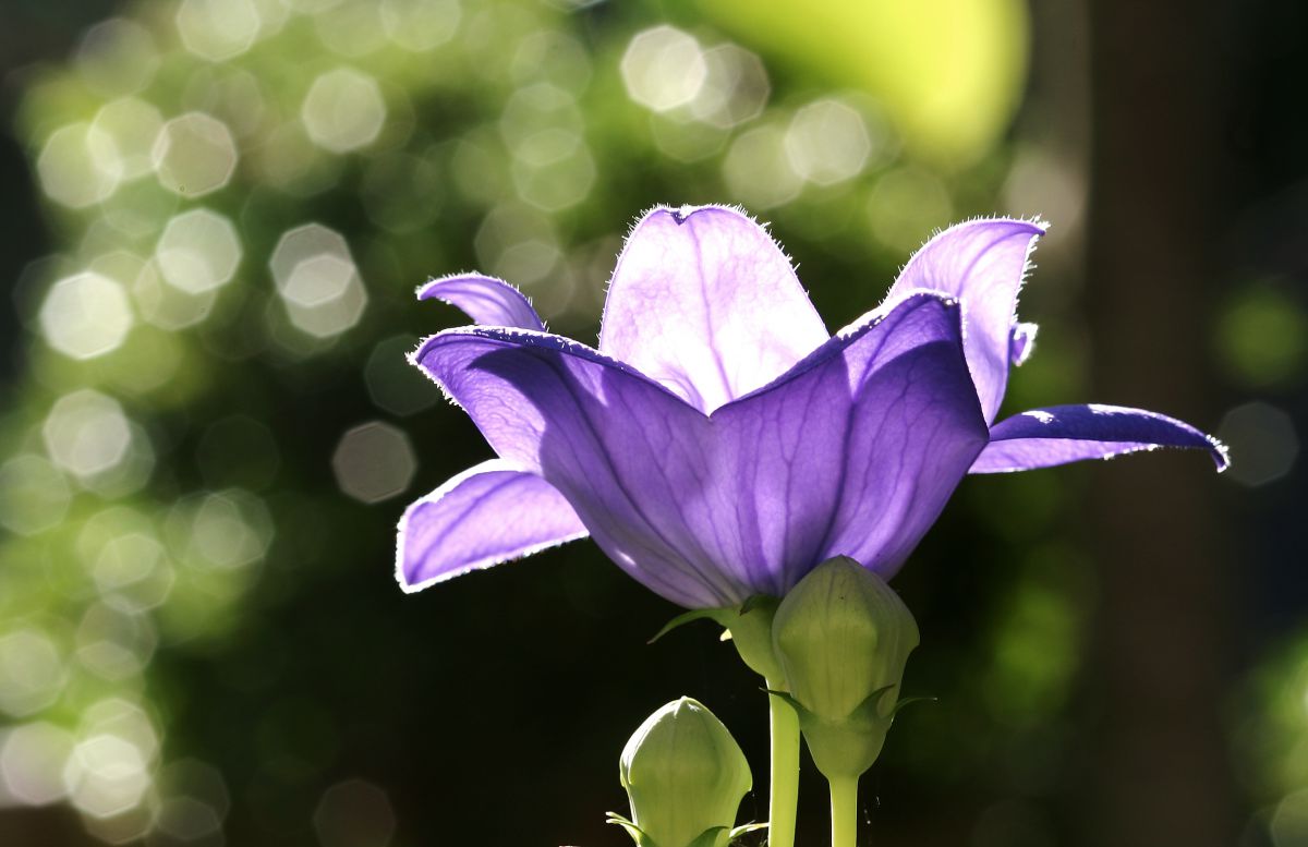 爽やかな笑顔 | GANREF