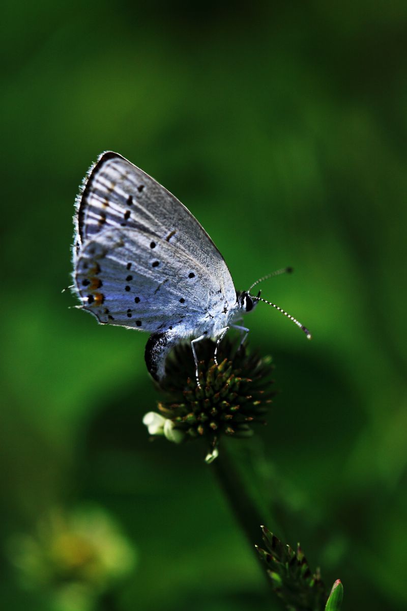 おっと，あぶねぇ～ | GANREF